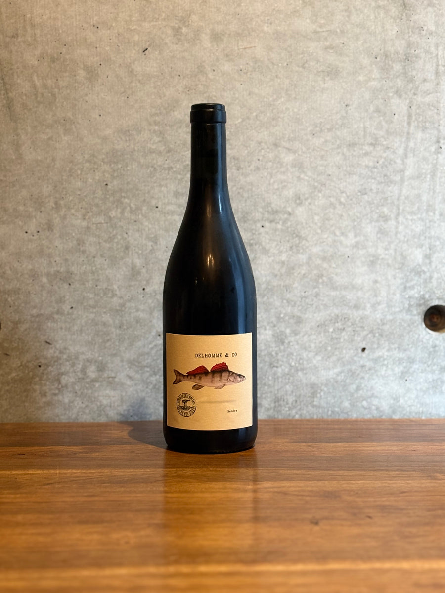 DOMAINE DELHOMME & CO / PUNK'S PINOT DEAD 2023 – Wine shop lucy